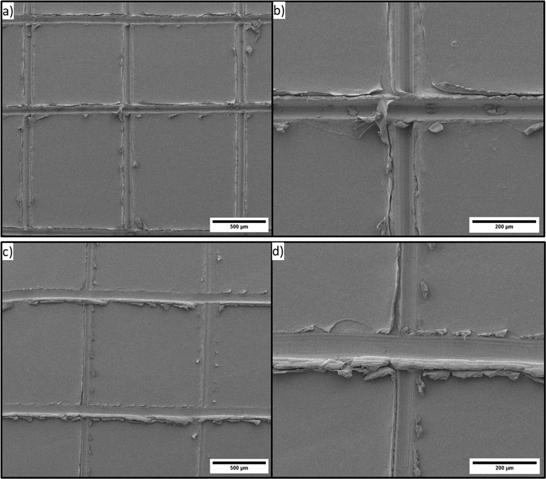 Electrophoretic Deposition and Characterization of Curcumin/Chitosan ...