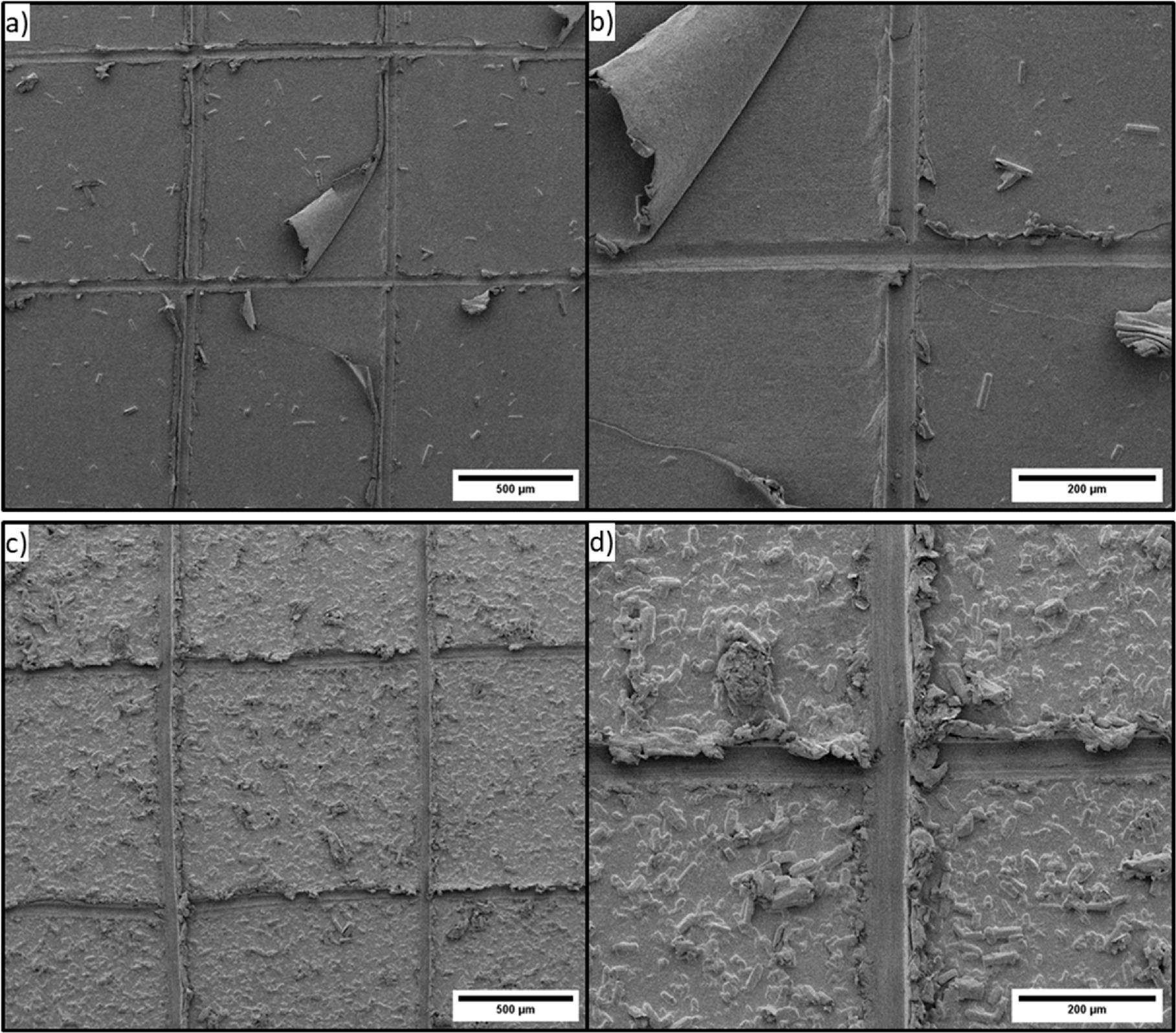 Electrophoretic Deposition and Characterization of Curcumin/Chitosan ...