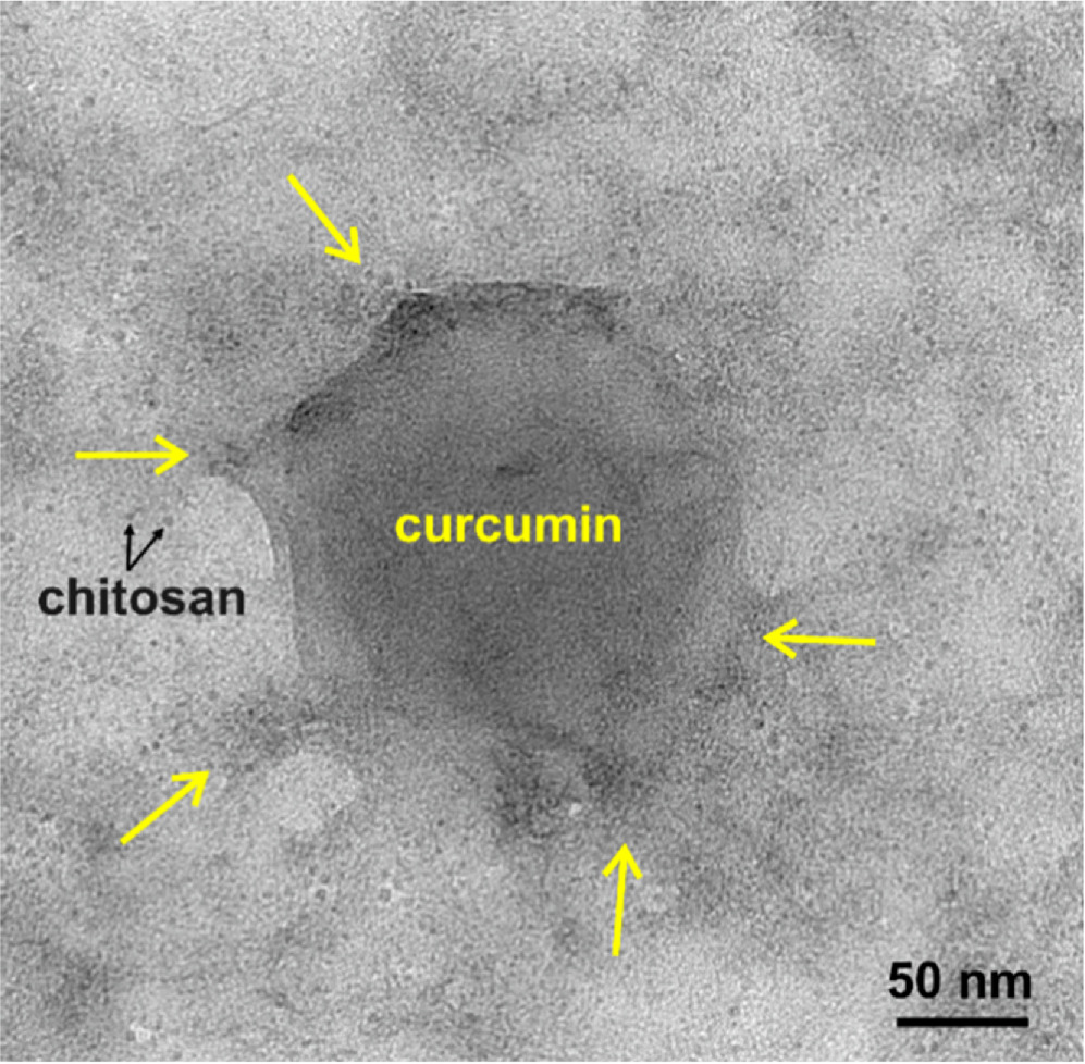 Electrophoretic Deposition and Characterization of Curcumin/Chitosan ...