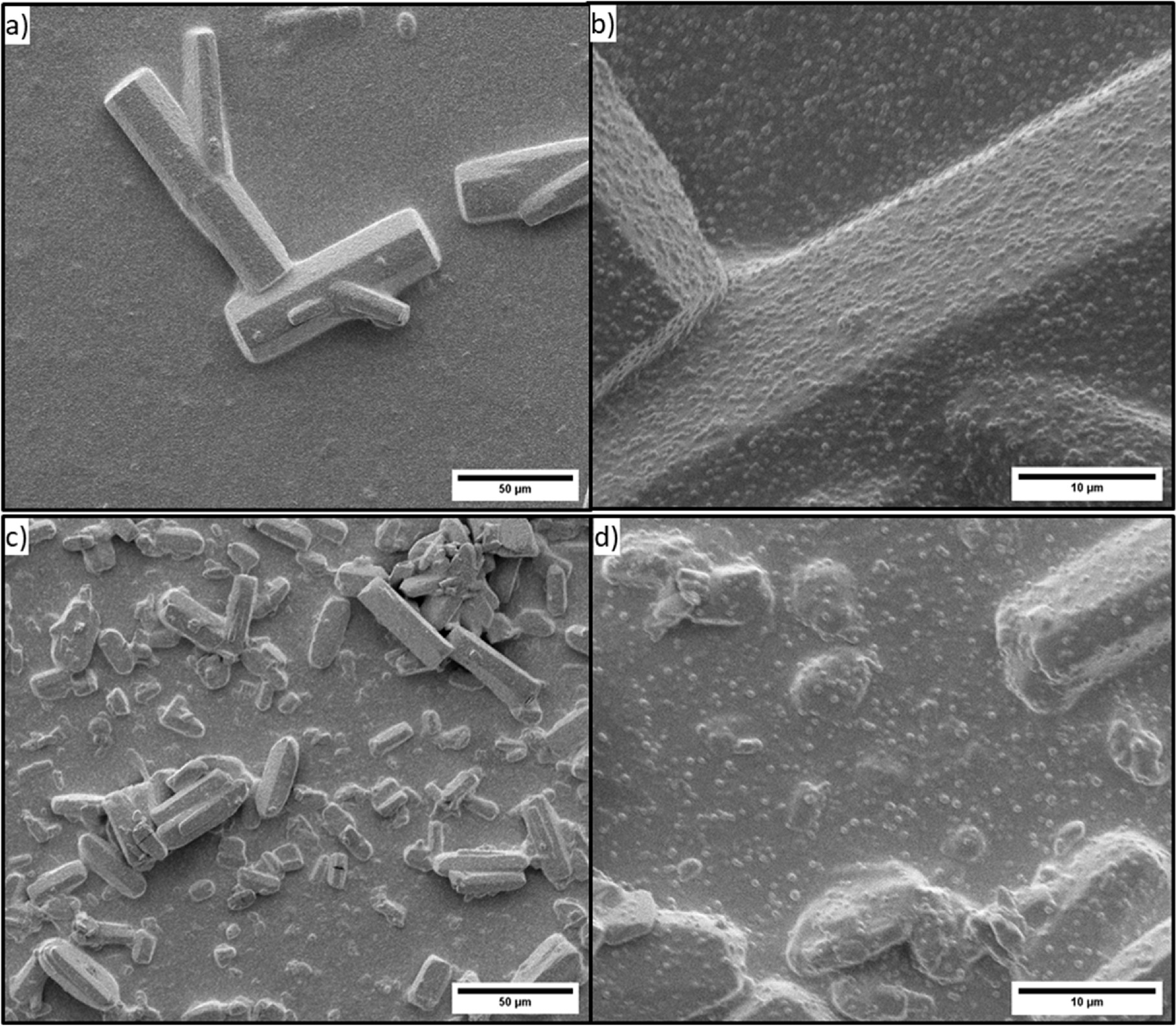Electrophoretic Deposition and Characterization of Curcumin/Chitosan ...
