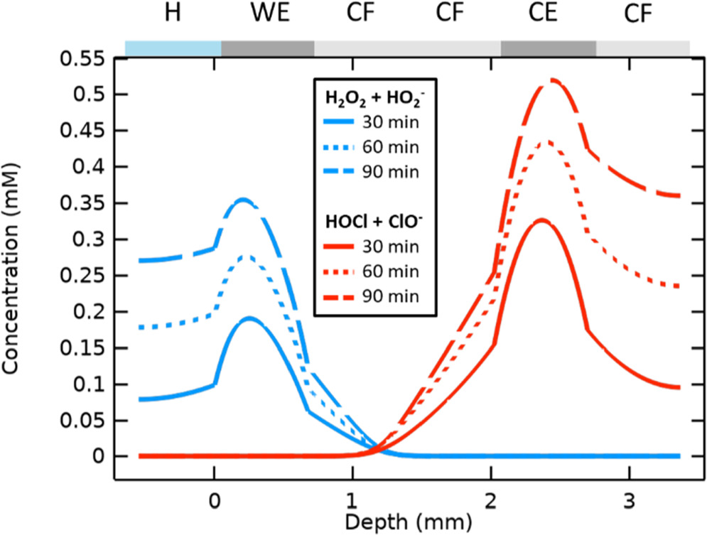 Electrochemical H2O2 Production Modelling for an Electrochemical ...