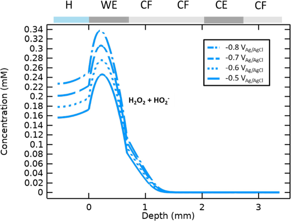 Electrochemical H2O2 Production Modelling for an Electrochemical ...
