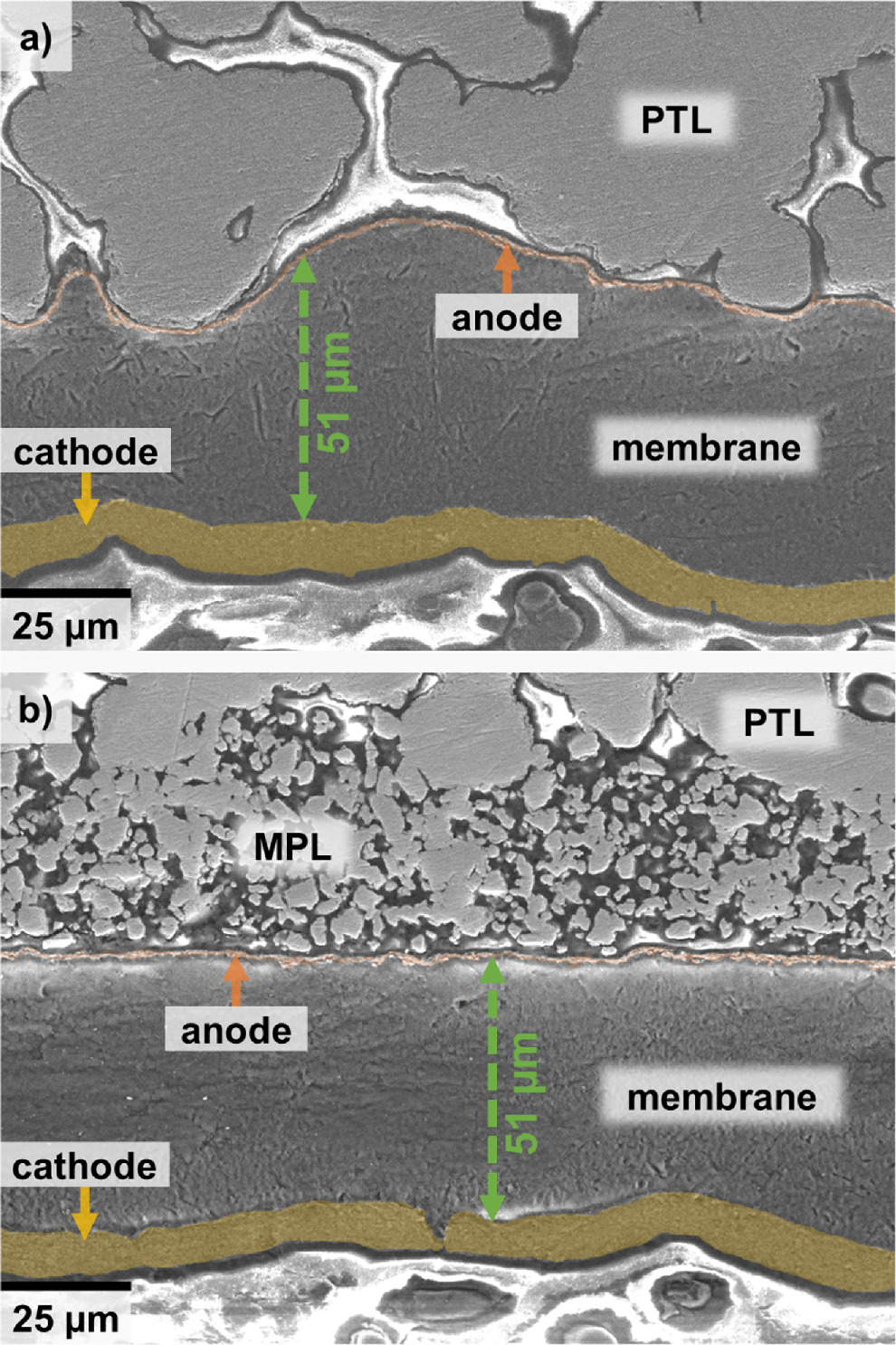 Preparation and Performance Evaluation of Microporous Transport Layers ...