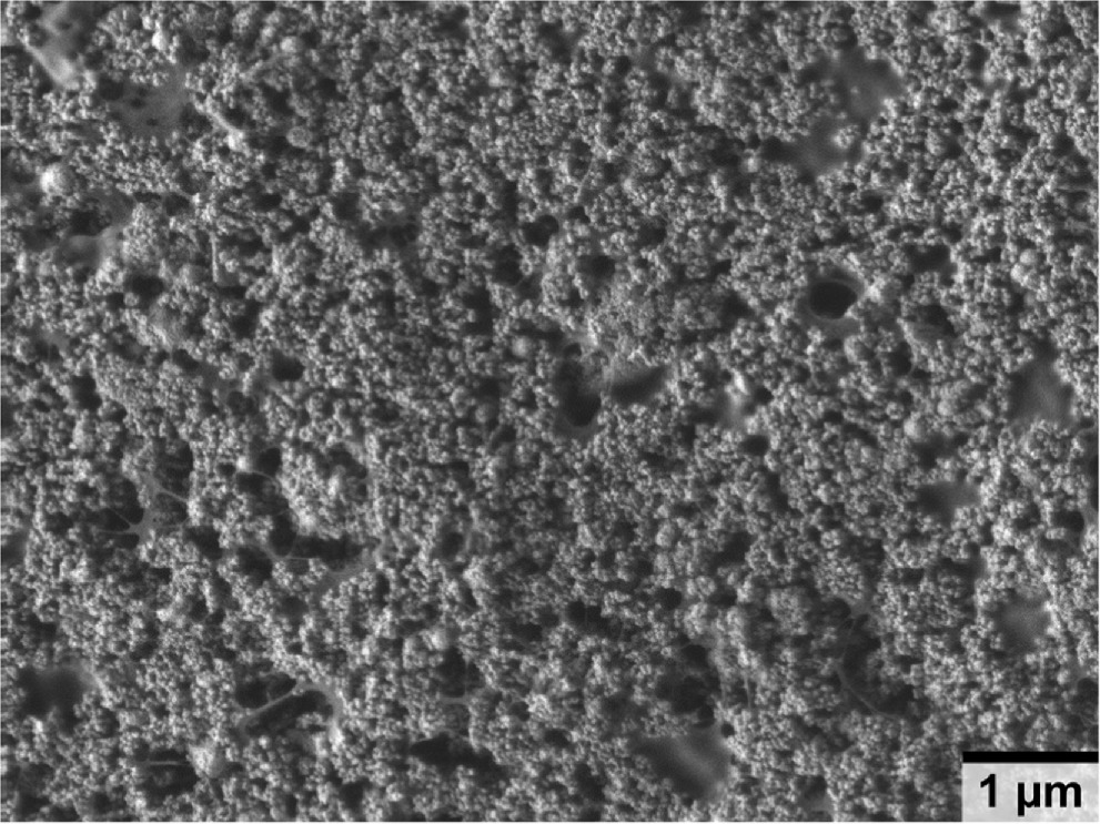 Preparation and Performance Evaluation of Microporous Transport Layers ...