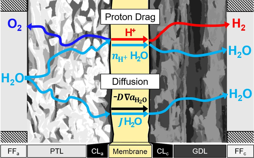 Water Crossover in Proton Exchange Membrane Water Electrolysis - IOPscience