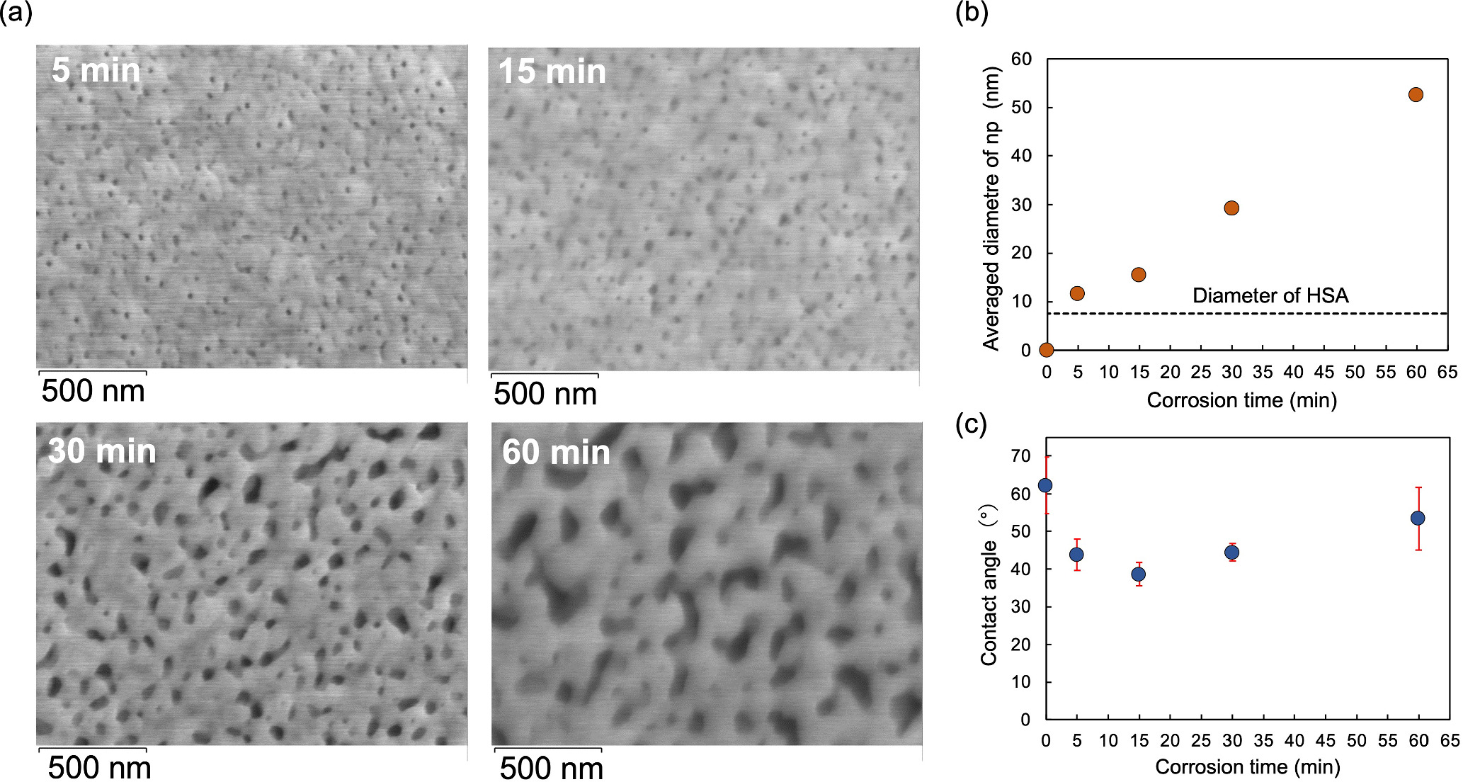 Anti-Biofouling Effect of Nanoporous Gold Electrode on Nonspecific ...