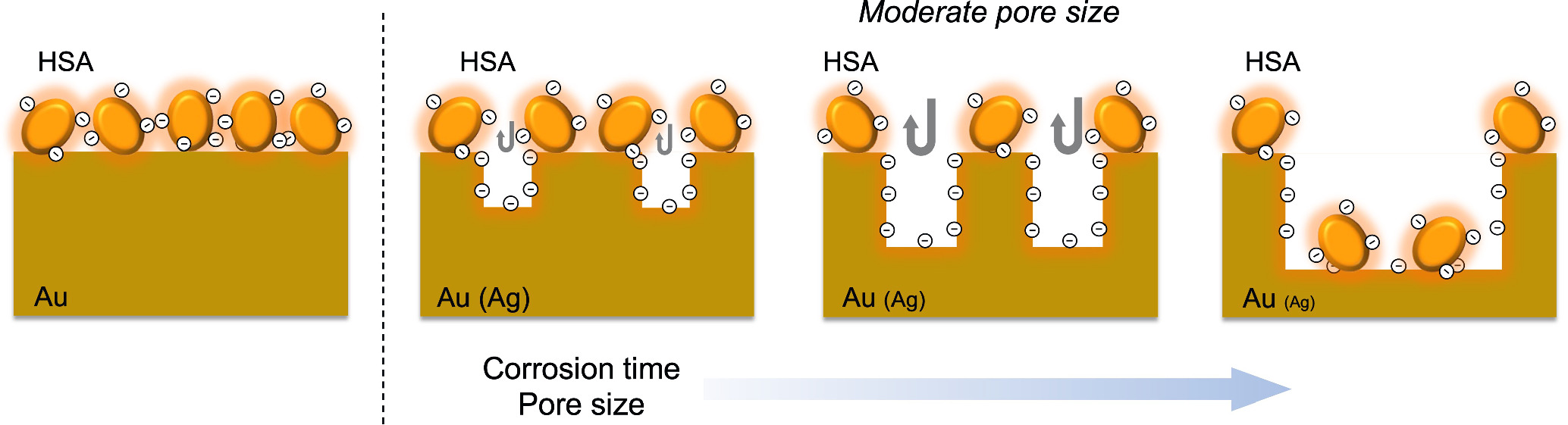 Anti-Biofouling Effect of Nanoporous Gold Electrode on Nonspecific ...