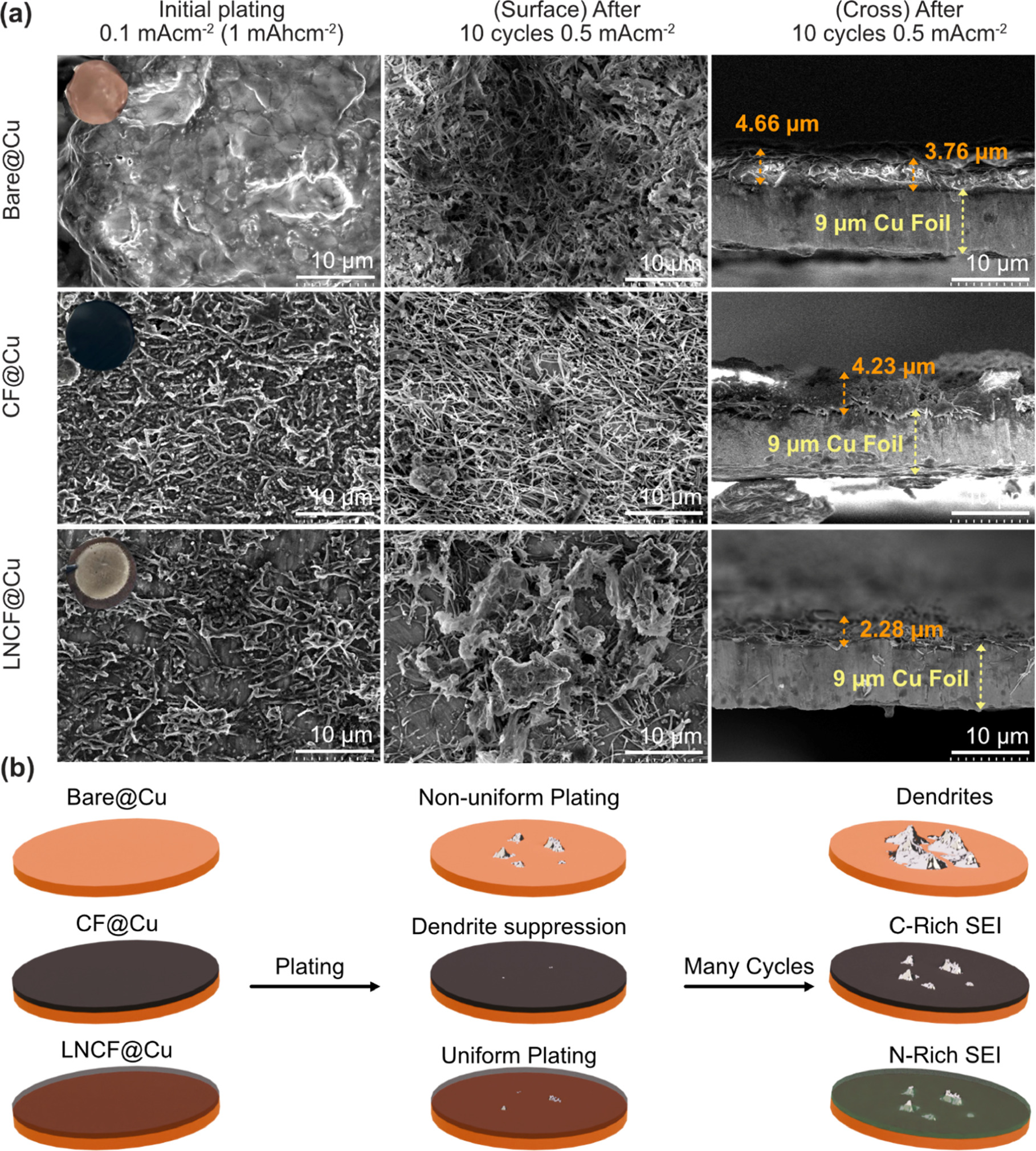 A Bifunctional Carbon-LiNO3 Composite Interlayer for Stable Lithium ...