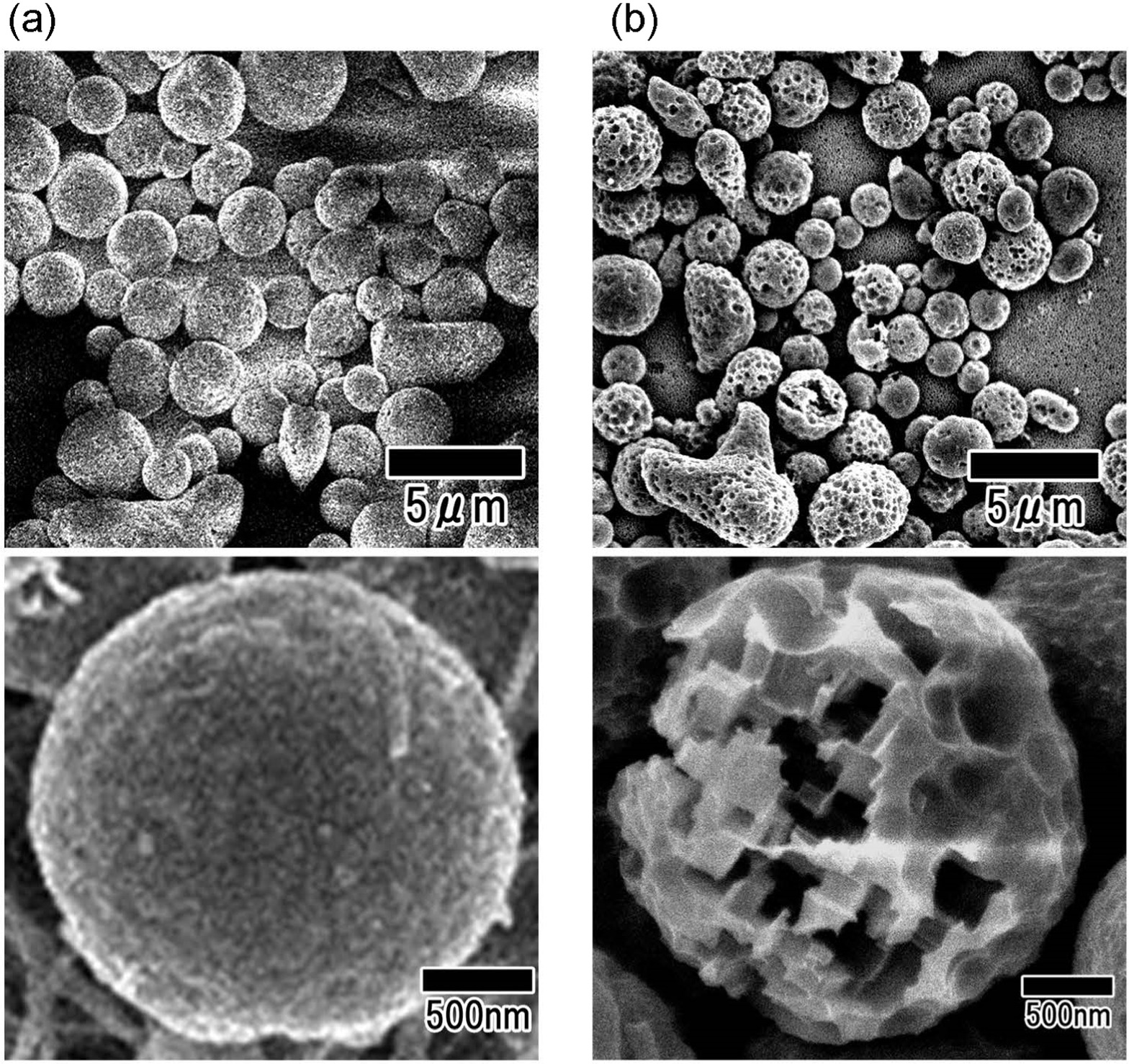 Fabrication of Porous Metal Particles with Controlled Surface ...