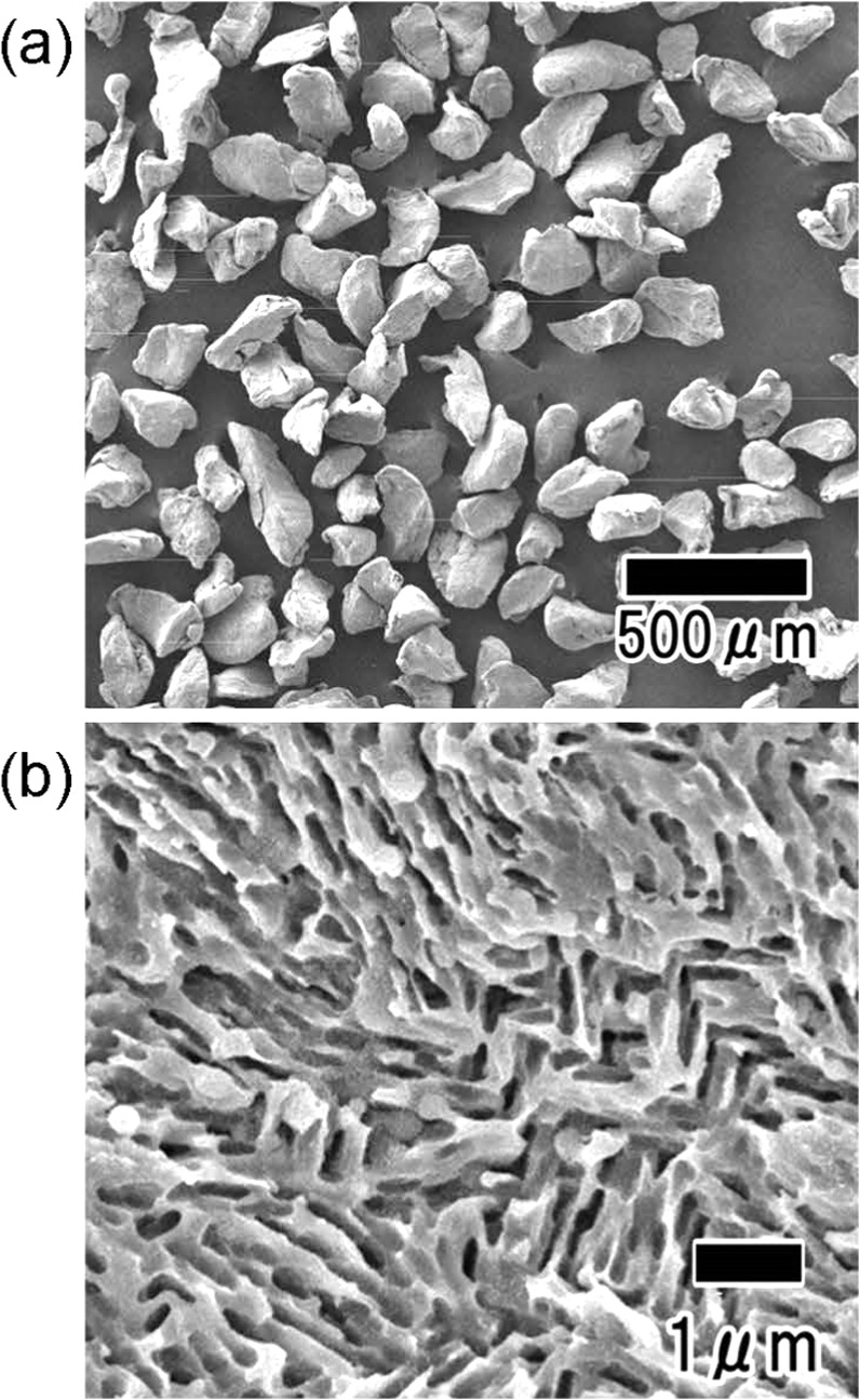Fabrication of Porous Metal Particles with Controlled Surface ...