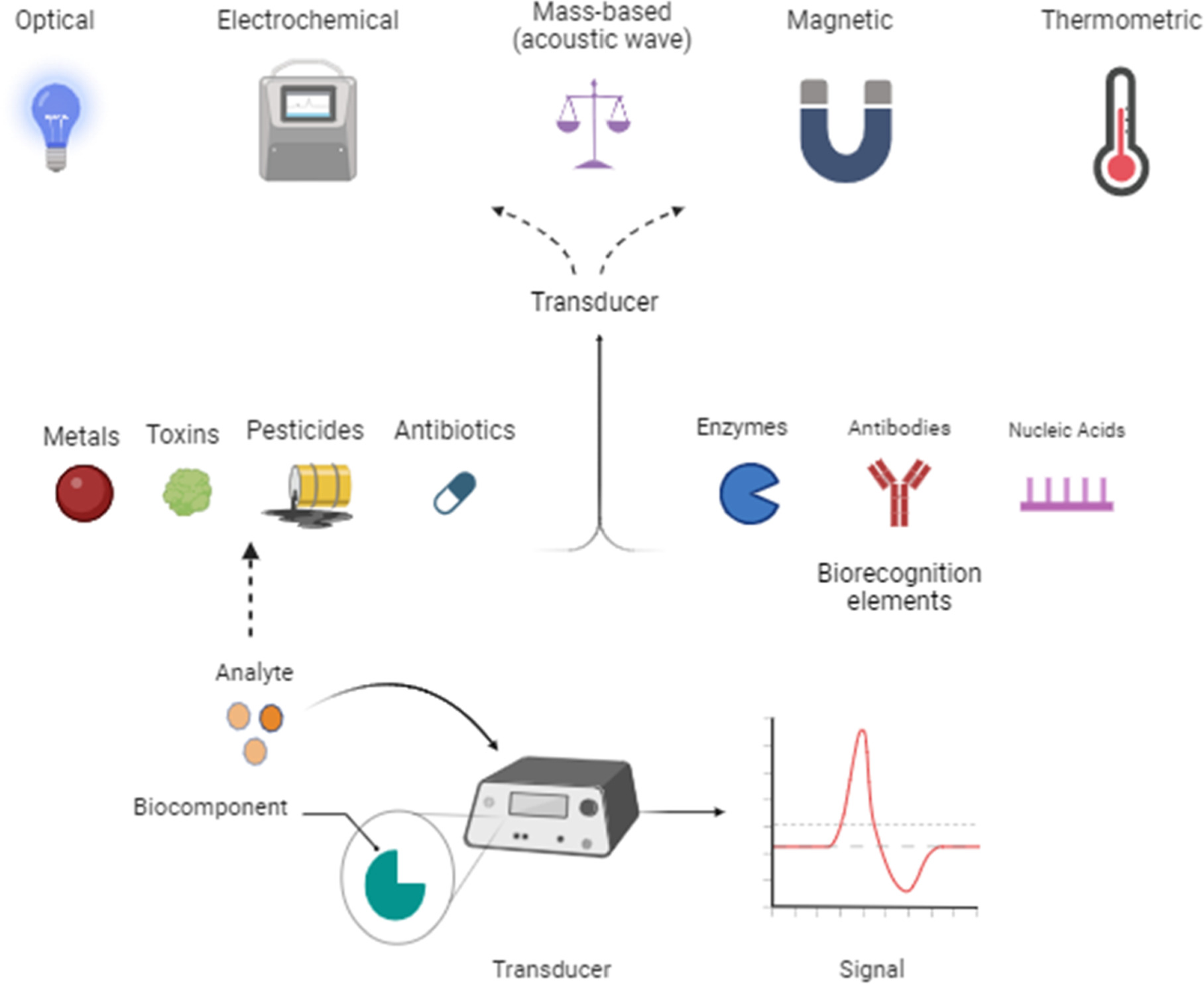 Review—Nanotechnology-Based Biosensors for Biomedical Applications ...
