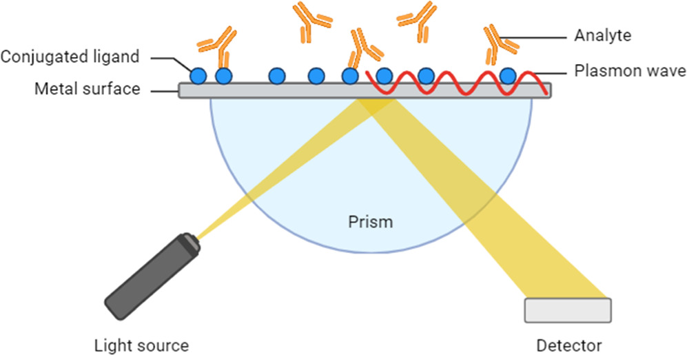Review—Nanotechnology-Based Biosensors for Biomedical Applications ...