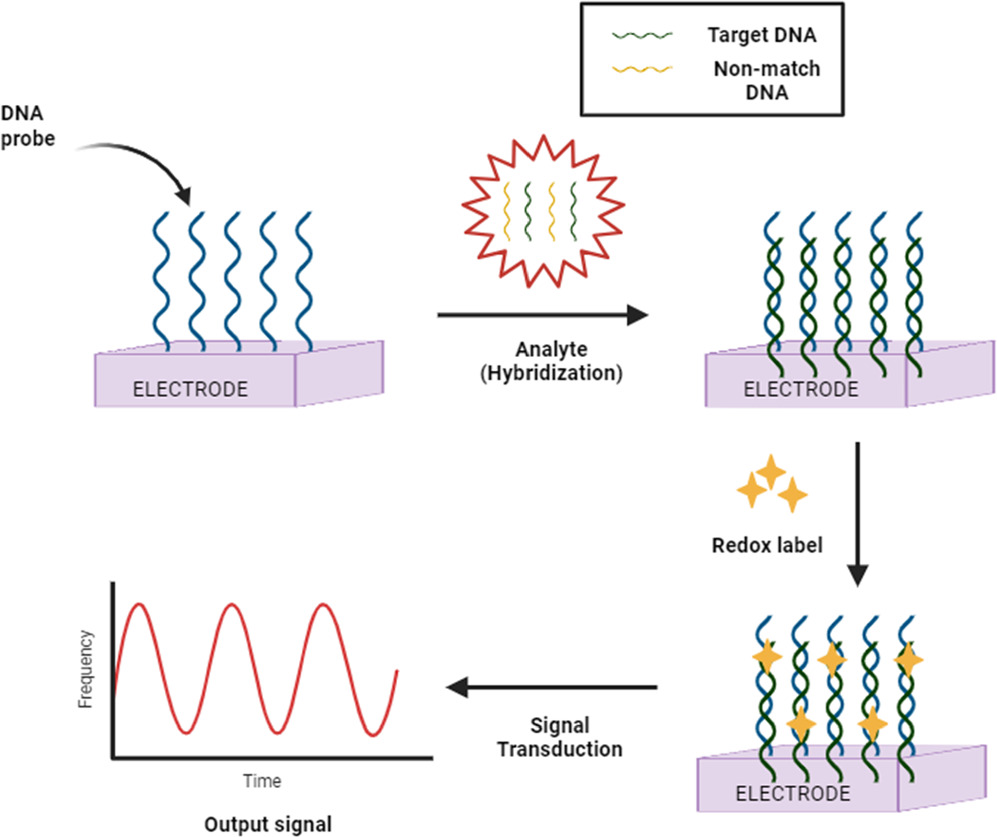 Review—Nanotechnology-Based Biosensors for Biomedical Applications ...