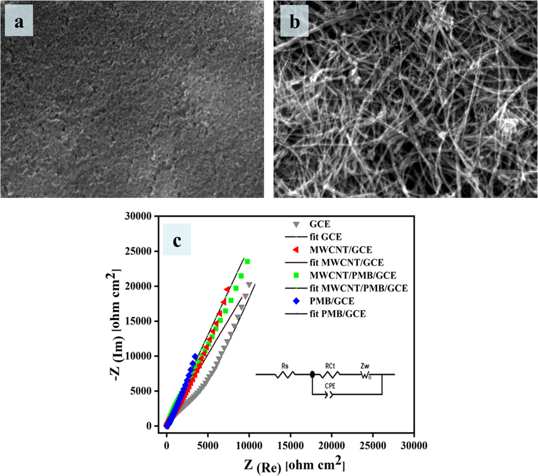 MWCNT-PMB Modified Electrode for Enhanced Detection of Methiocarb ...