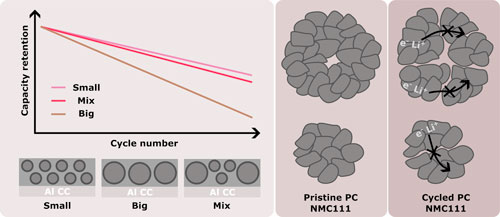 Study of Particle Size Distribution Effects in Battery Electrodes Using ...