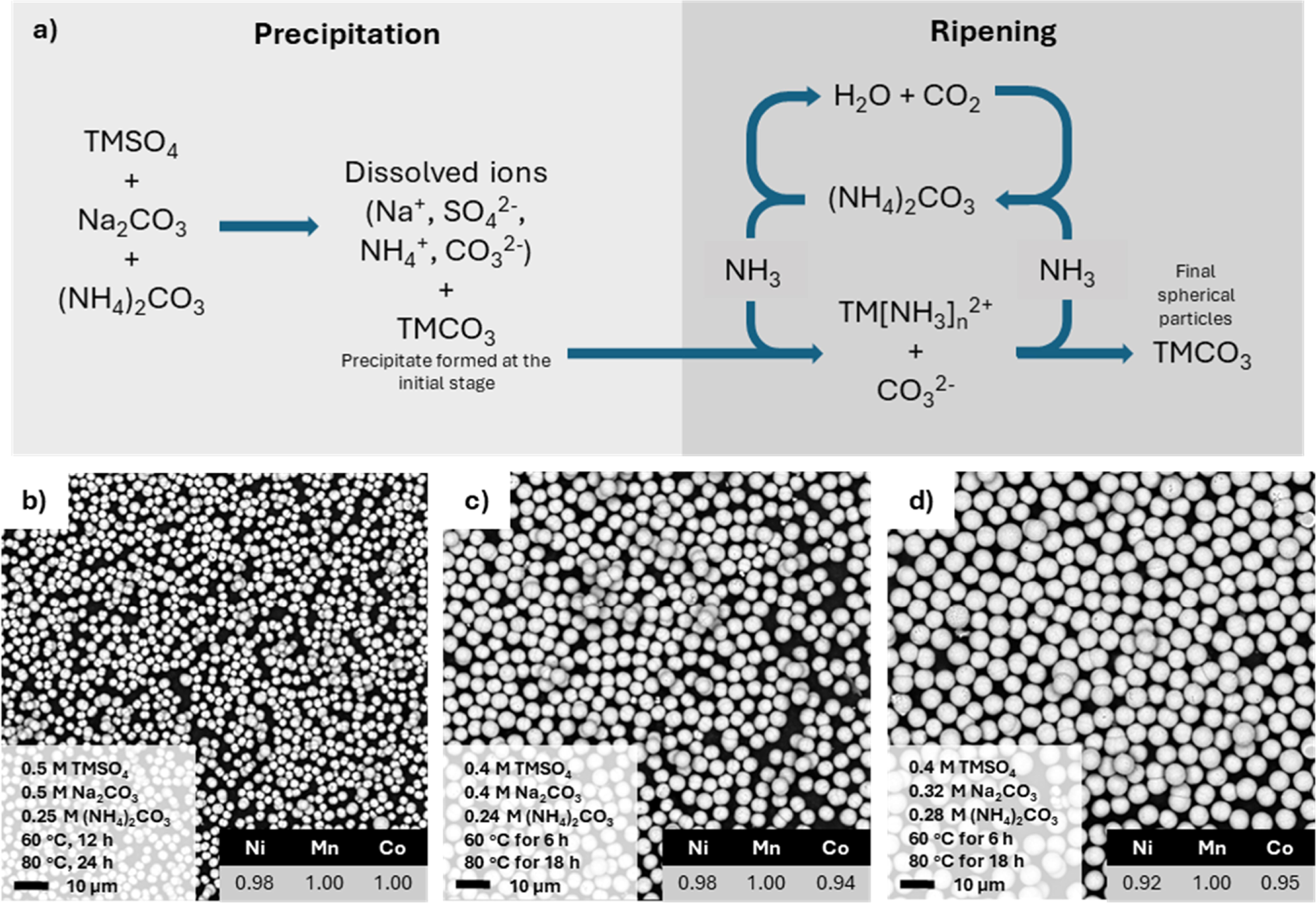 Study of Particle Size Distribution Effects in Battery Electrodes Using ...