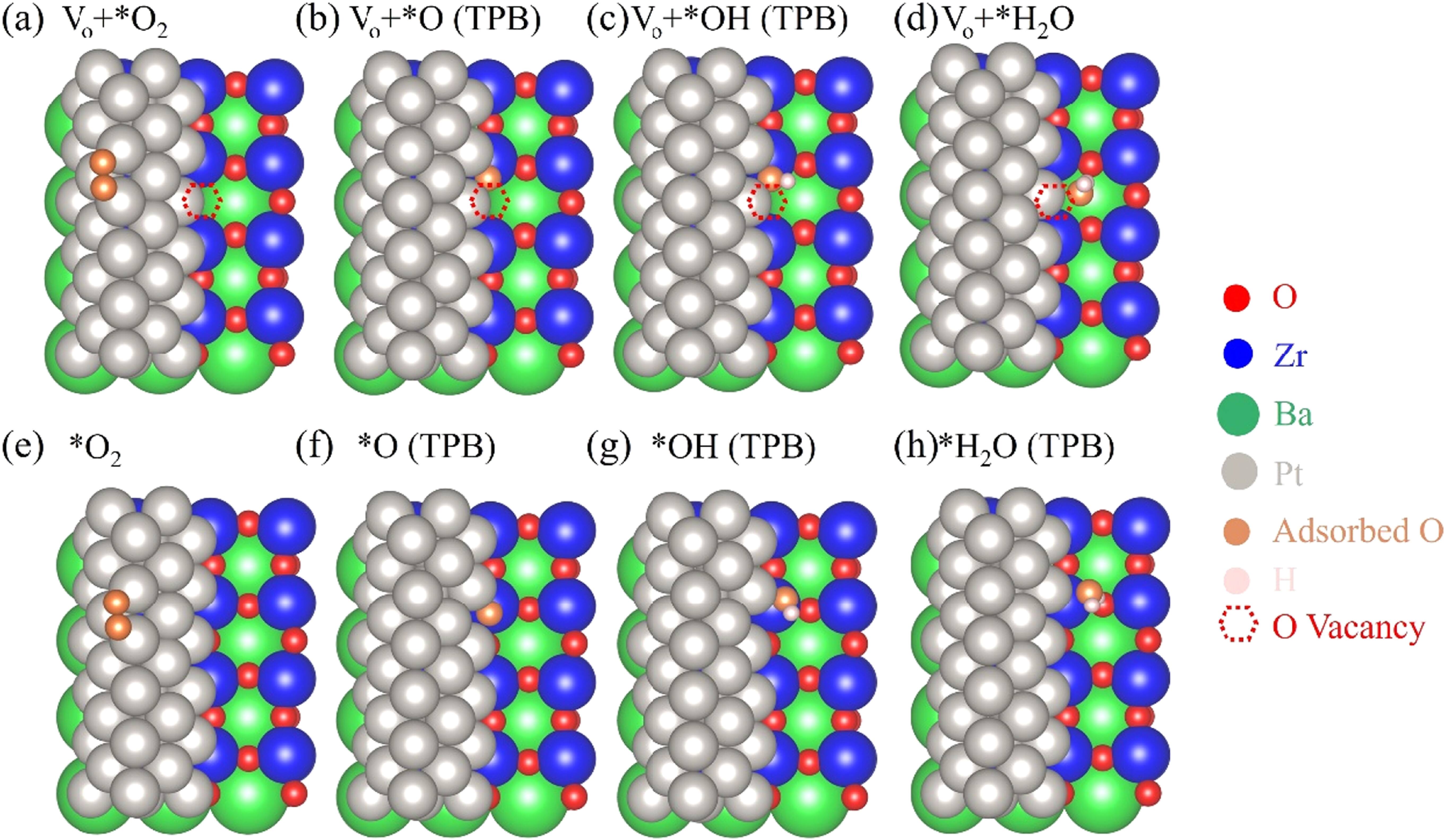 Mechanistic Insights into Oxygen Reduction Reaction on Metal Cathode ...