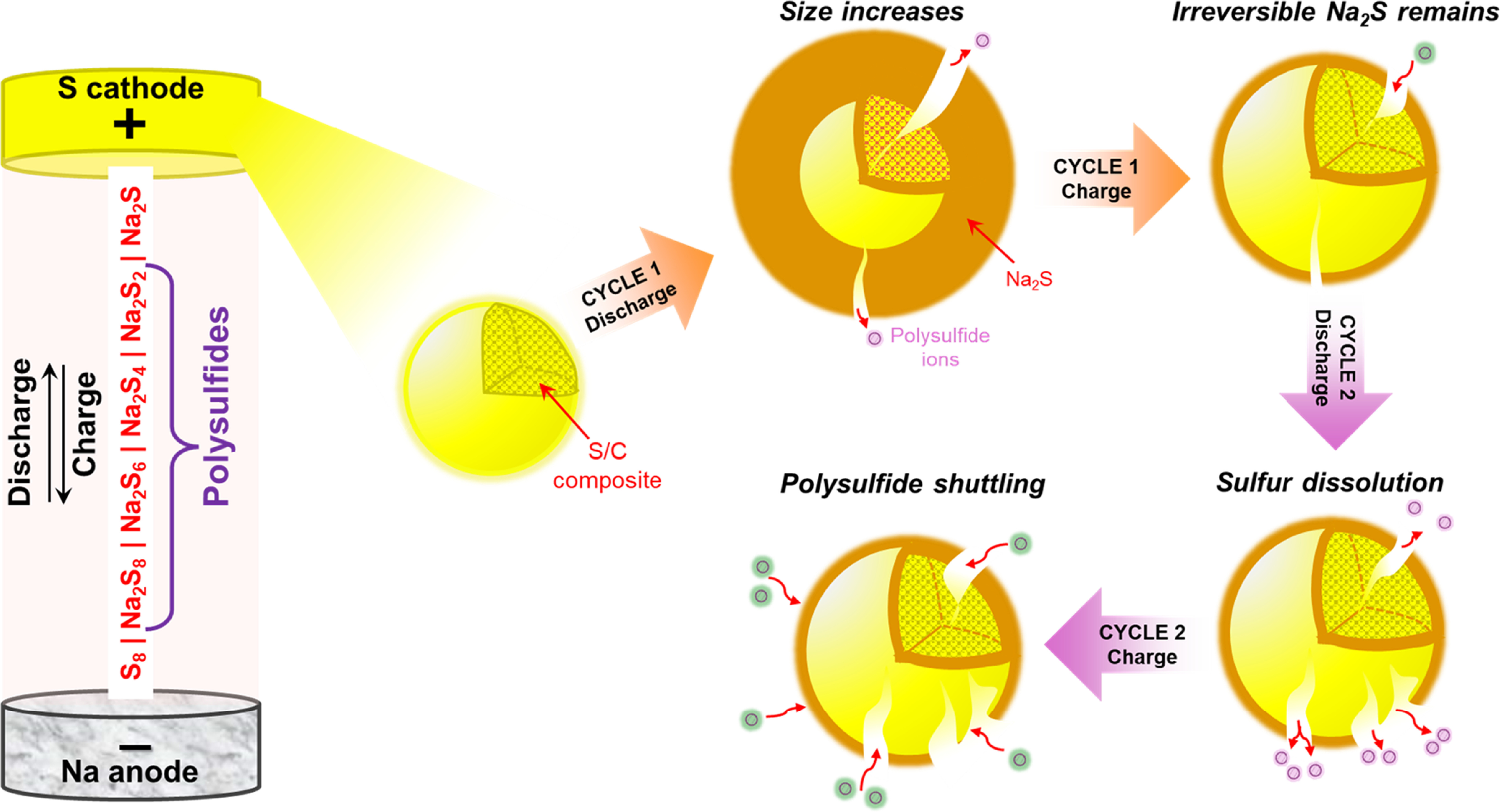 Elucidating Sodium-Sulfur Battery Chemistry using Operando Transmission ...