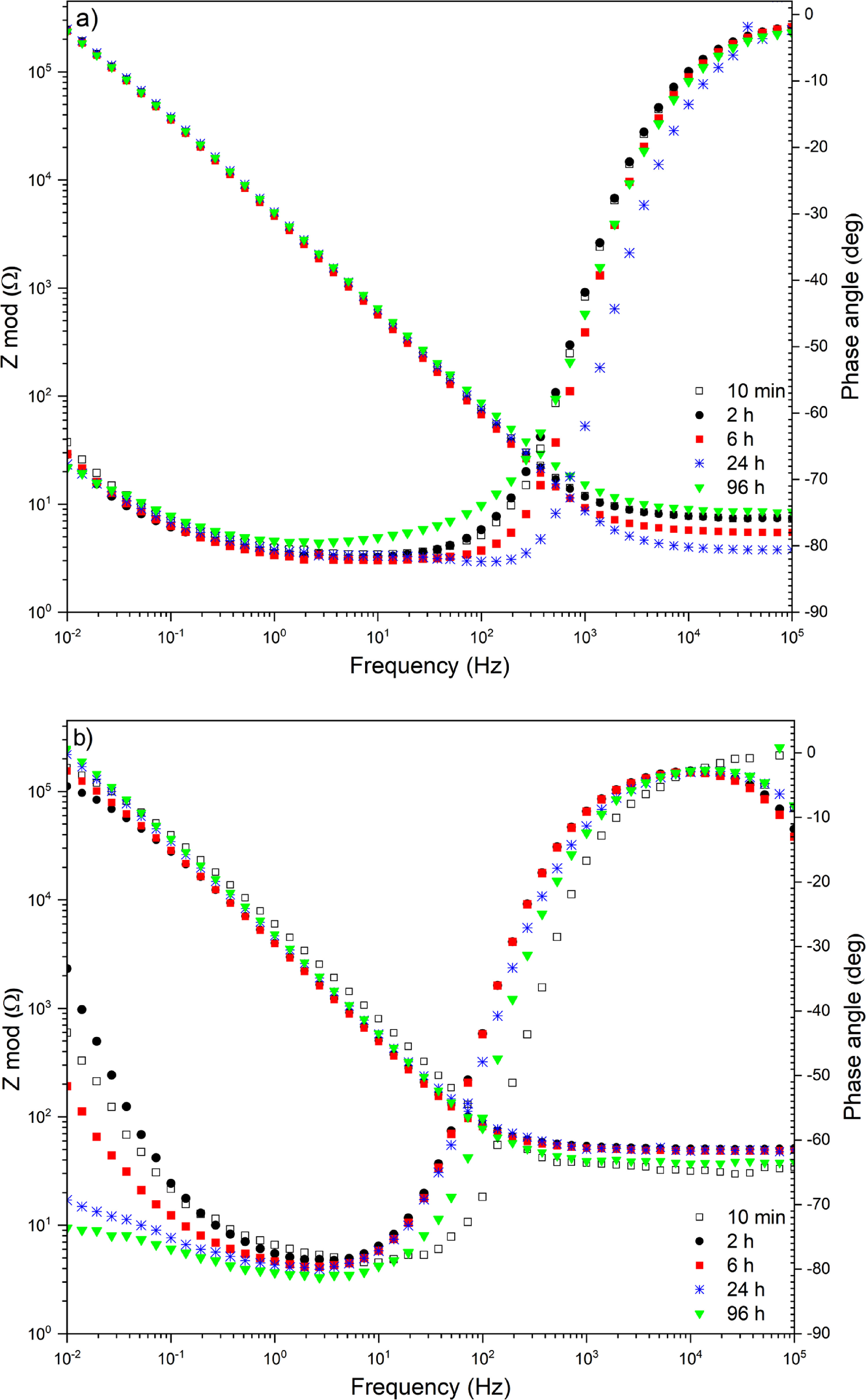 On Stability and Electrochemical Performance of 316 Stainless Steel in ...