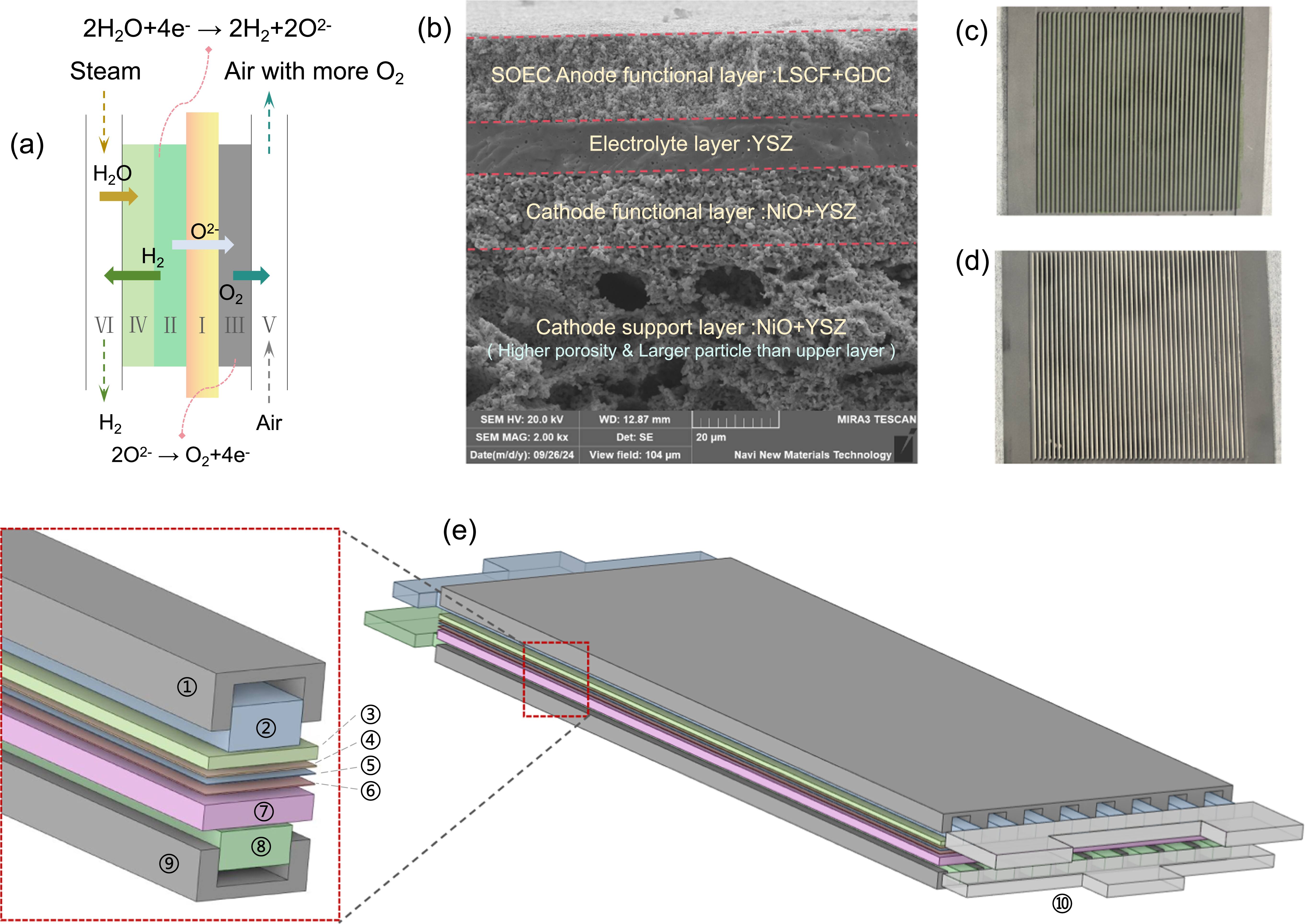 Model-Guided Interconnect Topology Engineering Boosts SOEC Electrode ...