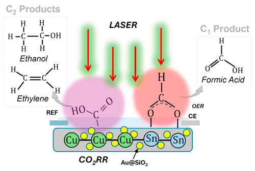 Raman Evidence for the Mechanism of Enhanced C–C Coupling during CO2RR ...