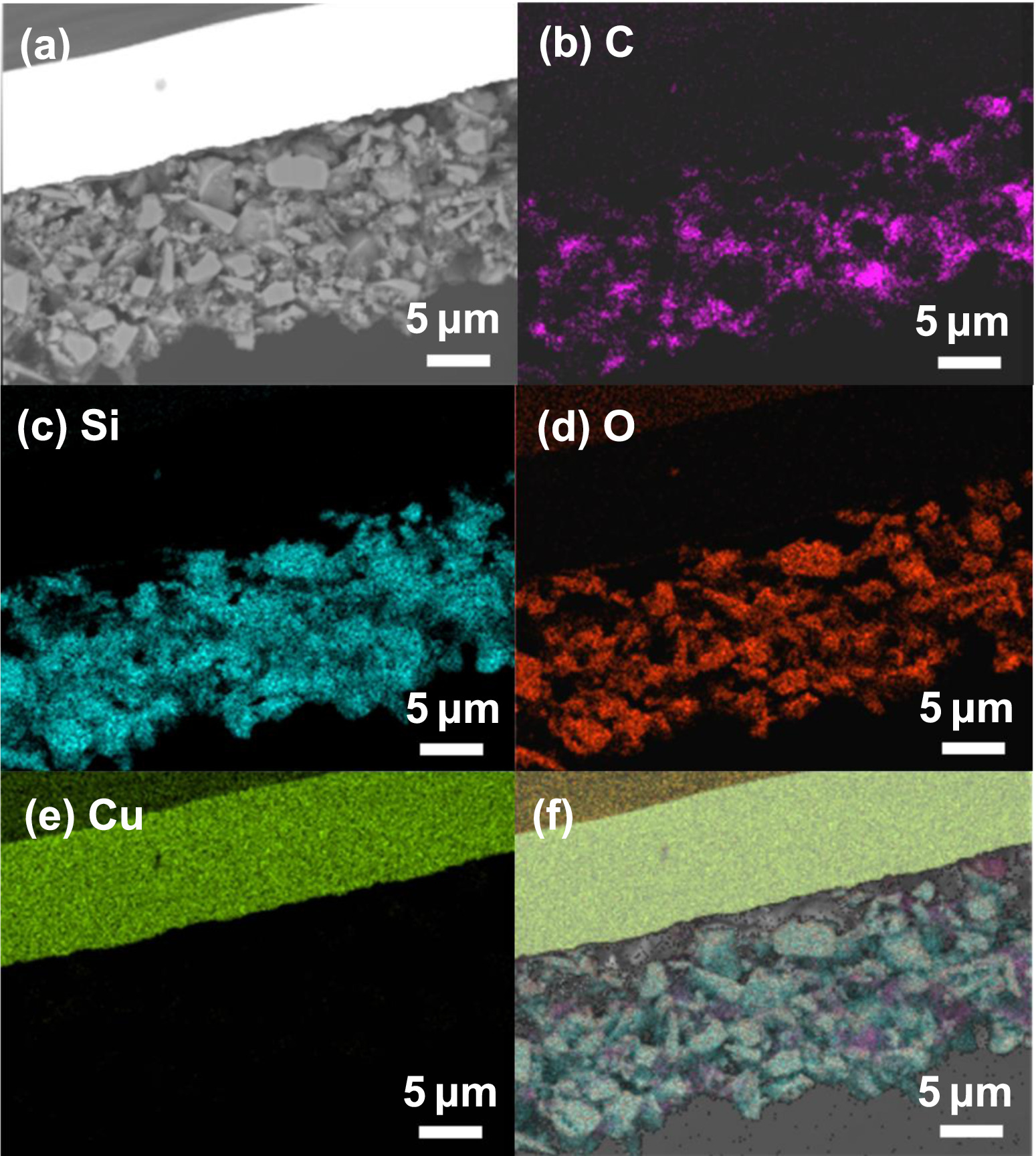 Citric Acid as a Small Molecule Binder for Si-Based Li-Ion Battery ...