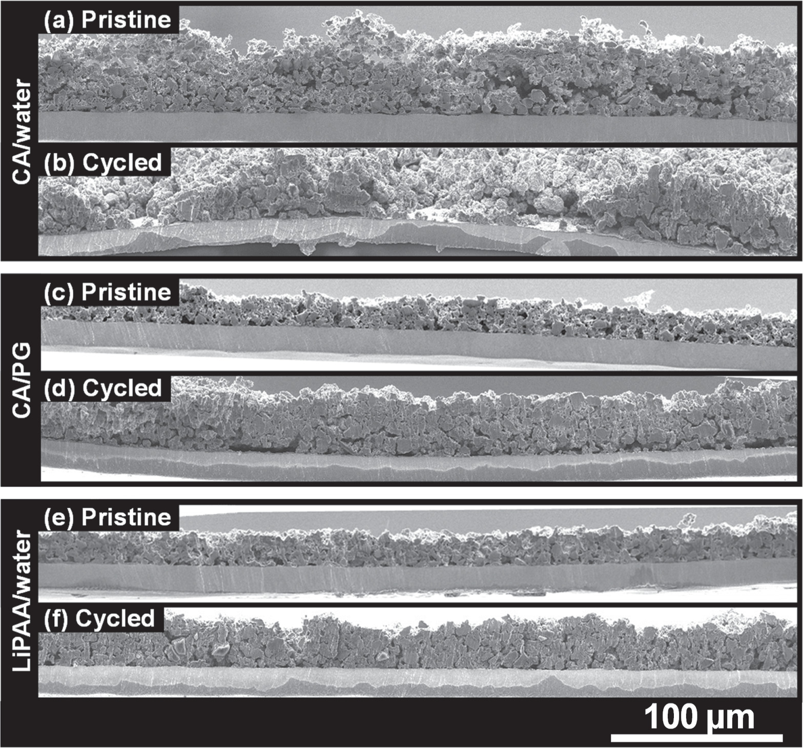 Citric Acid as a Small Molecule Binder for Si-Based Li-Ion Battery ...
