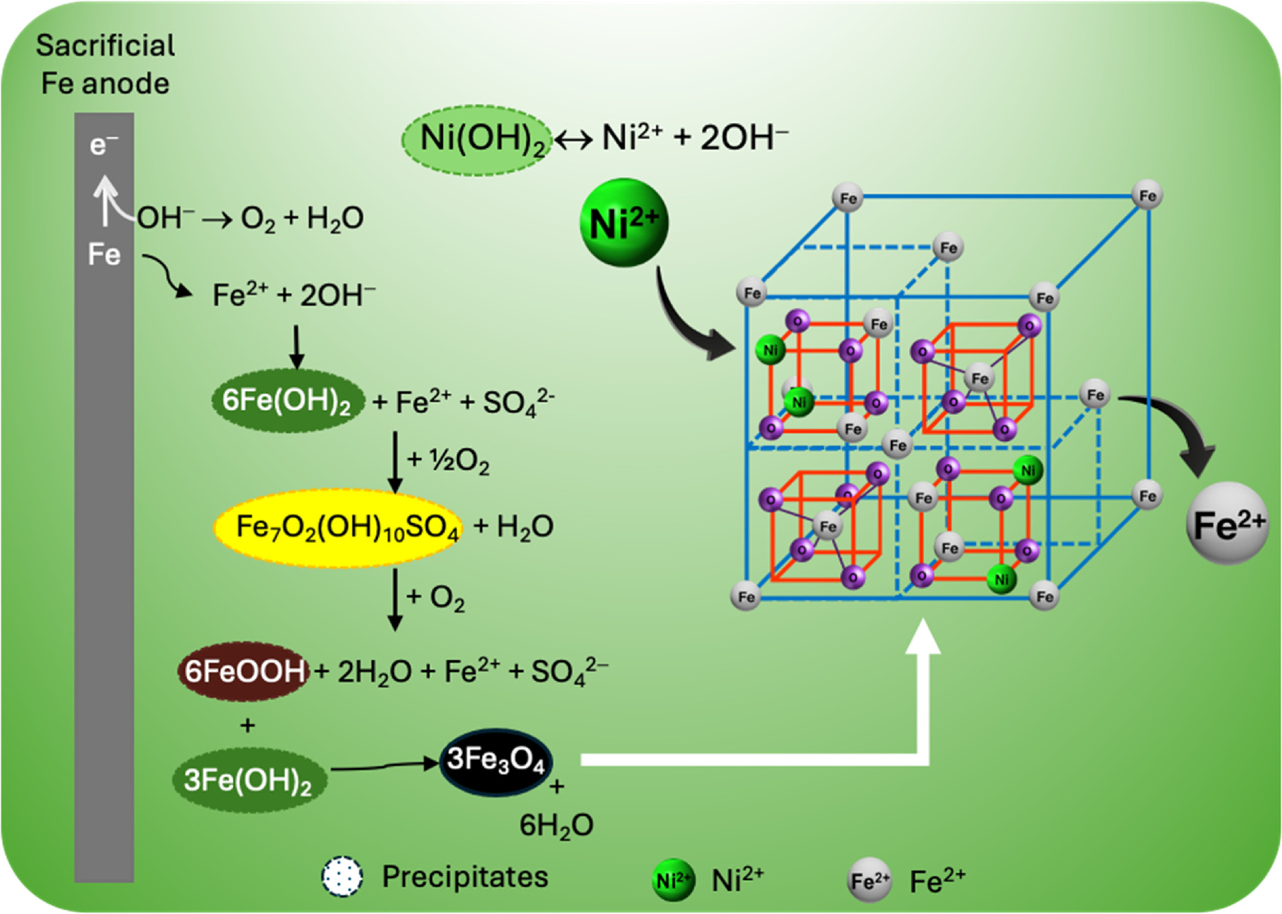 Phase Formation and Elemental Transport in the Electrosynthesis of ...