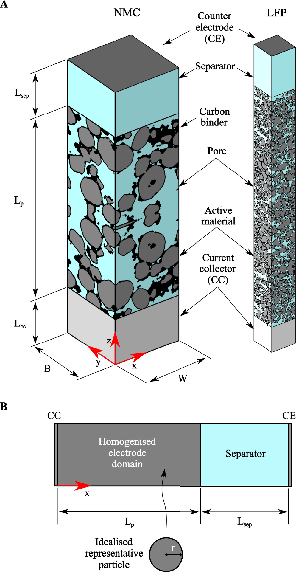 Bridging the Gap between Microstructurally Resolved Computed Tomography ...