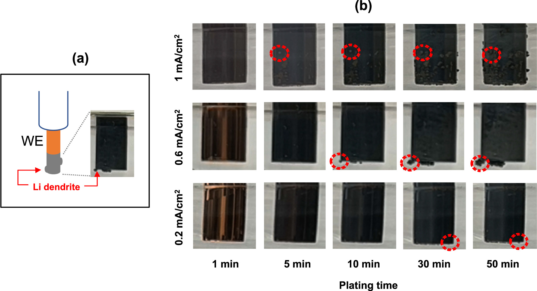 A Modified Sand’s Time Incorporating Li-Ion Transport Across the SEI ...