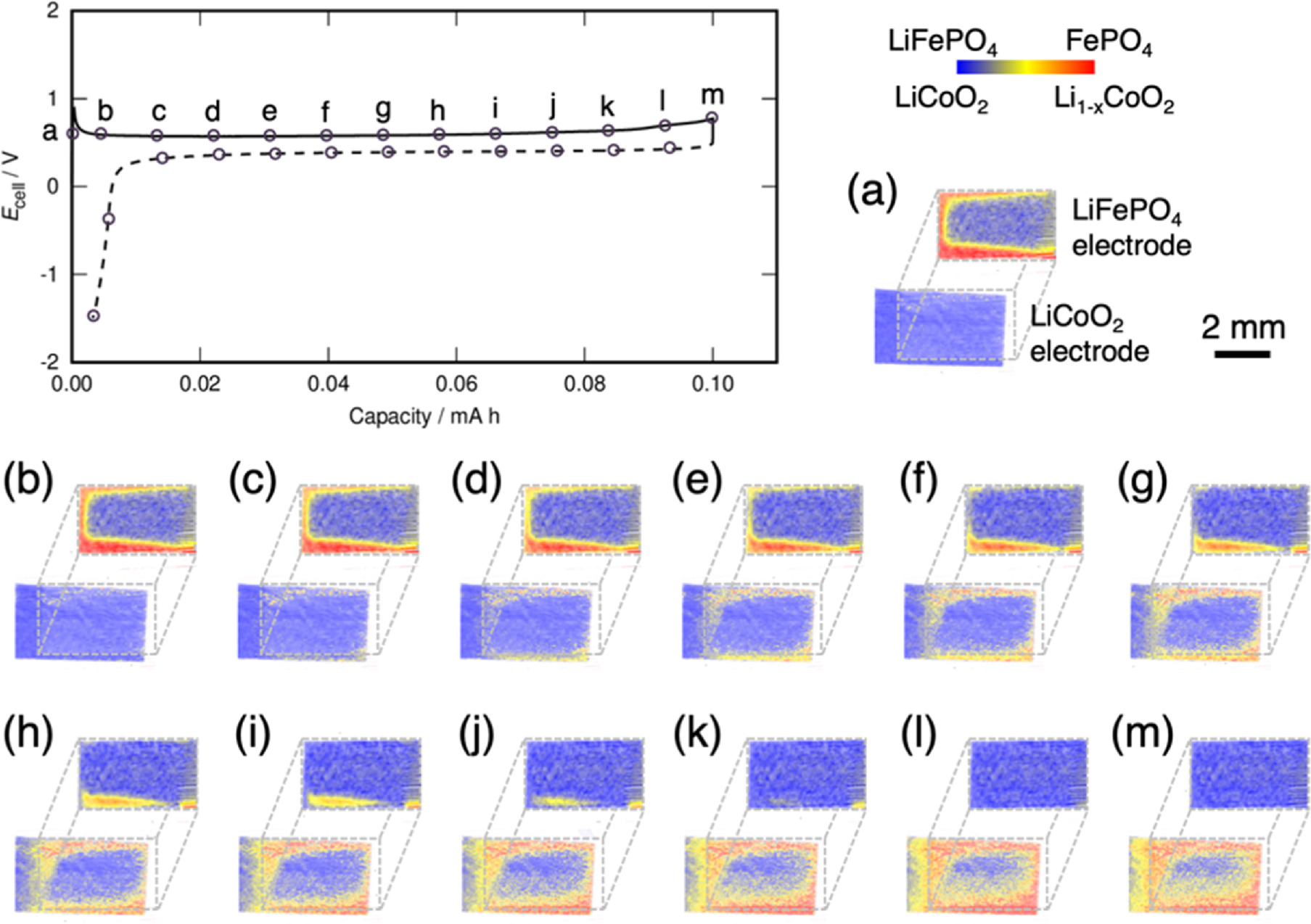 Transfer of Inhomogeneous Reaction to Counter Electrode Analyzed by X ...
