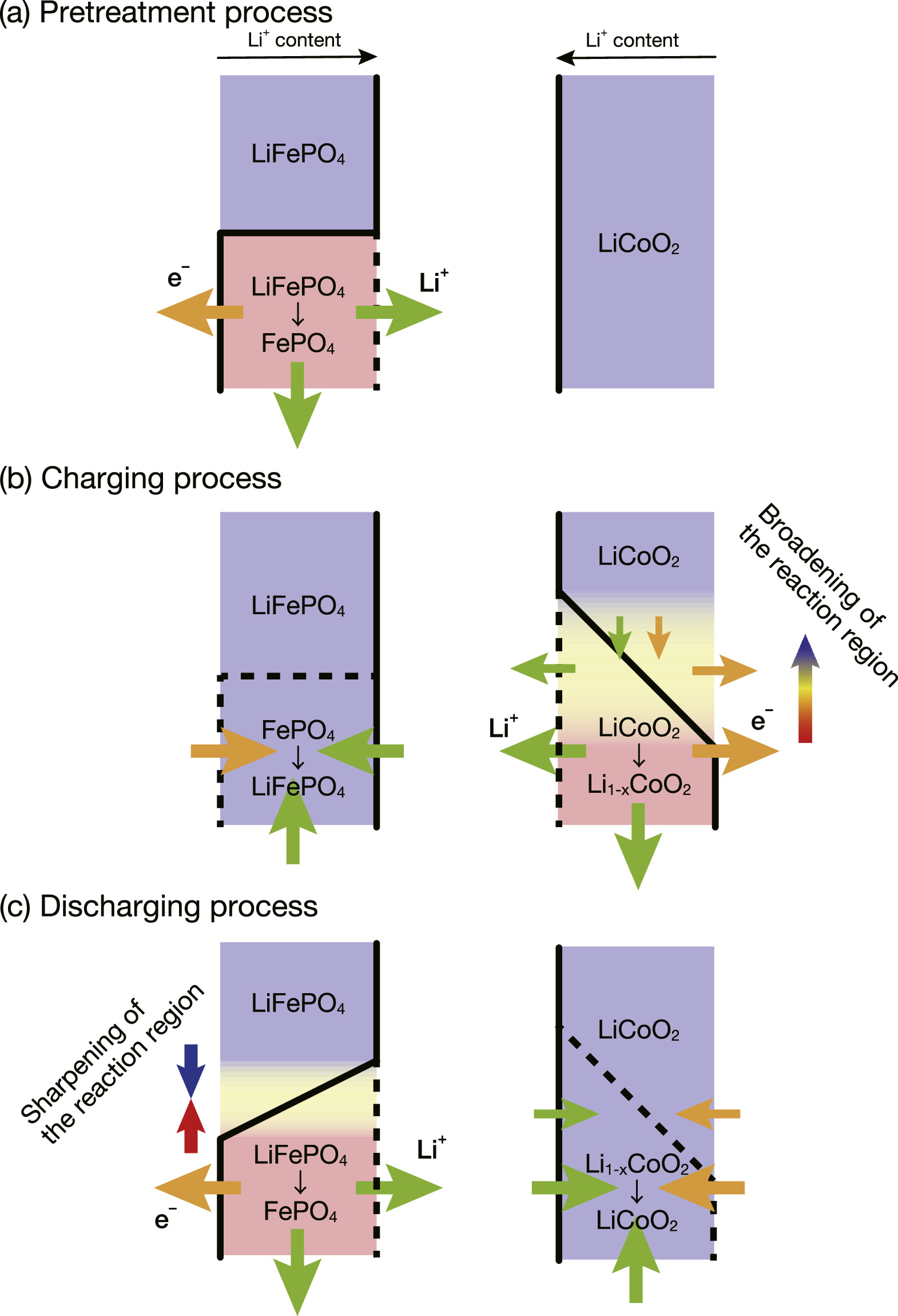 Transfer of Inhomogeneous Reaction to Counter Electrode Analyzed by X ...