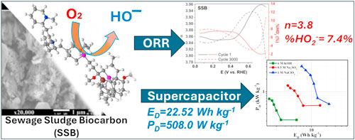 Adding Value to Biomass via Energy Applications: High-Performance ...