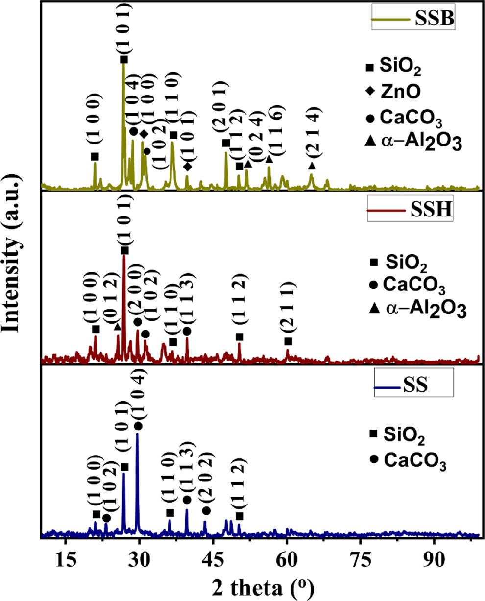 Adding Value to Biomass via Energy Applications: High-Performance ...