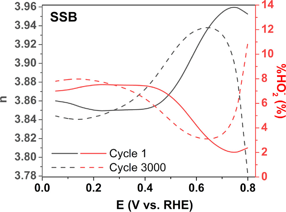 Adding Value to Biomass via Energy Applications: High-Performance ...