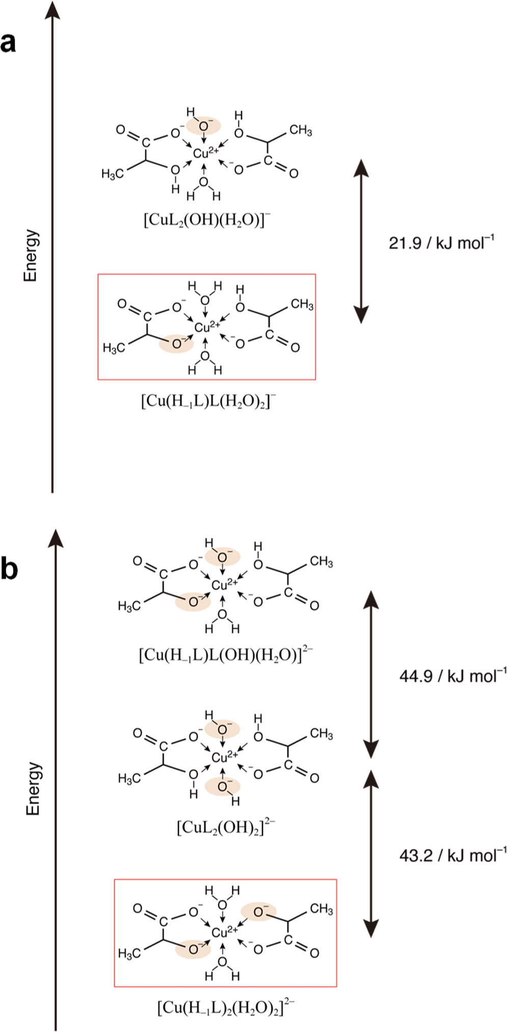 Copper (II)–Lactate Complexes in Cu2O Electrodeposition Baths ...