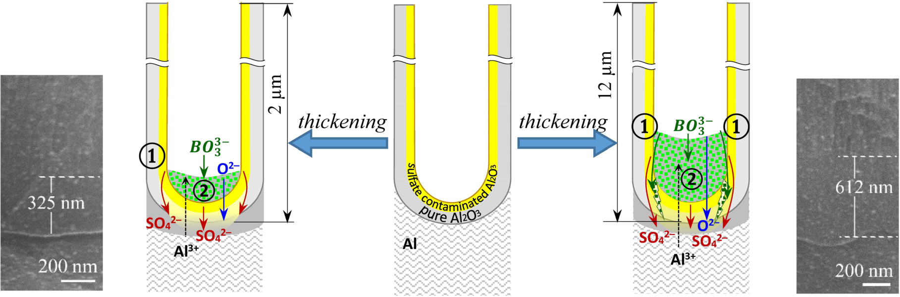 Effect of Pore Depth on Thickening the Barrier Layer of Porous Anodic ...