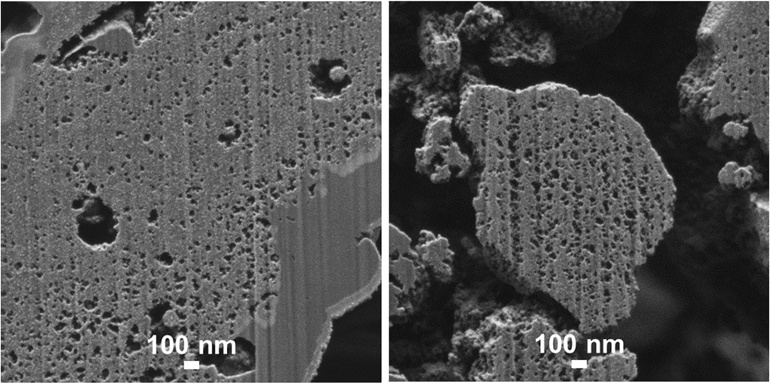 Pore Structure and Durability Improvement of CNovel® Mesoporous Carbon ...