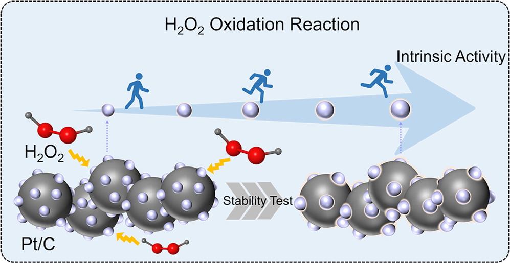Self-Compensating Effects on the Stability of Pt/C Catalysts for ...