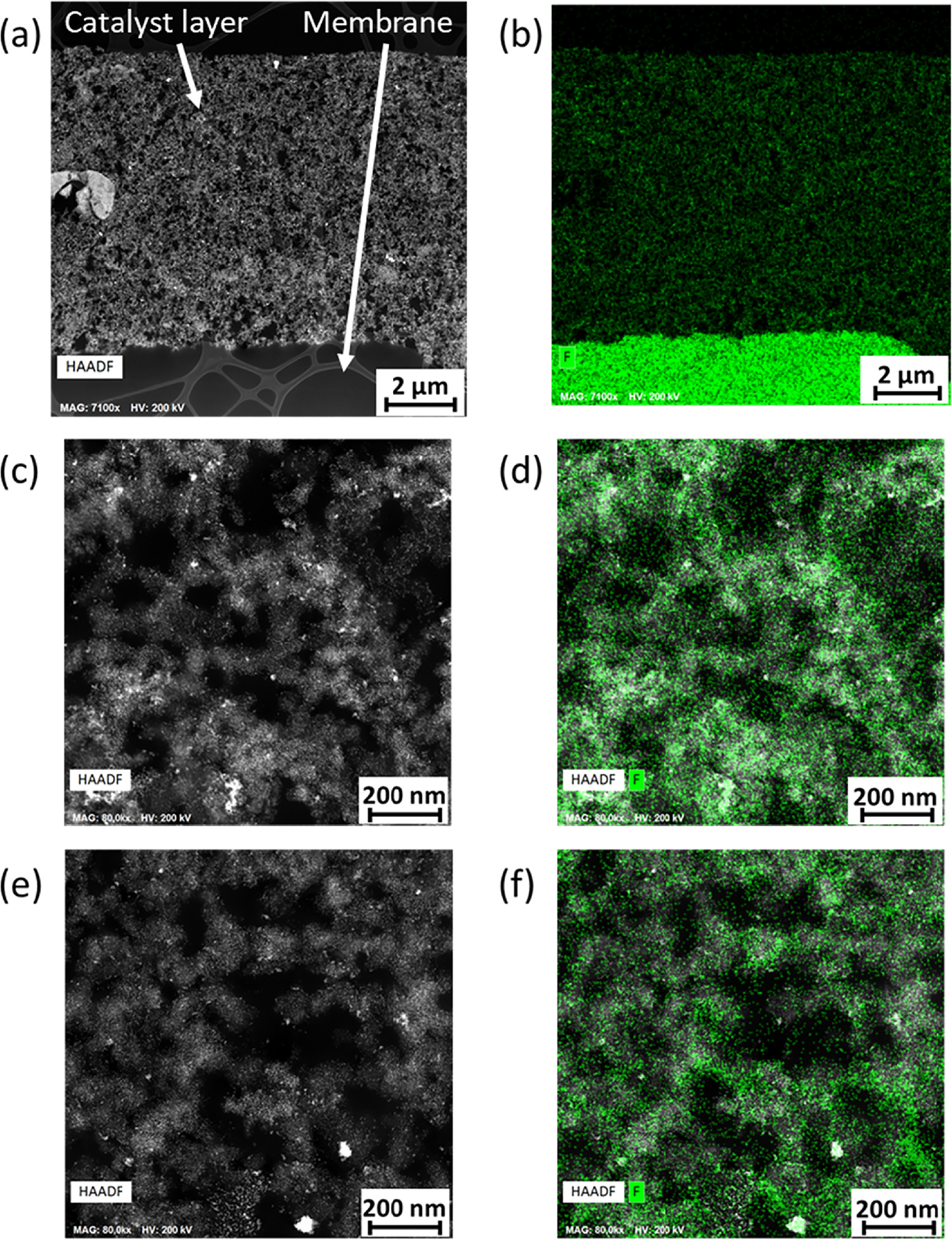 Evidence of Well-Dispersed Ionomer in the Cathode Catalyst Layer of a ...