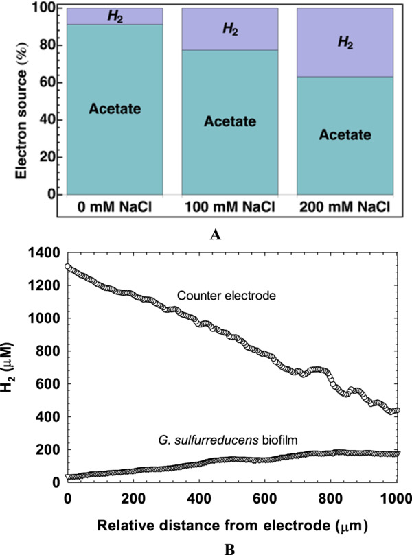Substrate Consumption of Geobacter sulfurreducens Biofilms on Advective ...