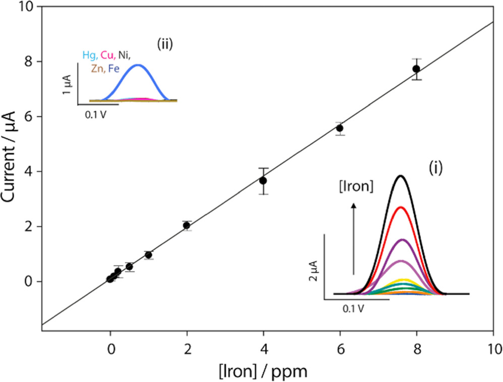 Smart Electrochemical Sensing for Rapid Detection of Iron in Dietary ...