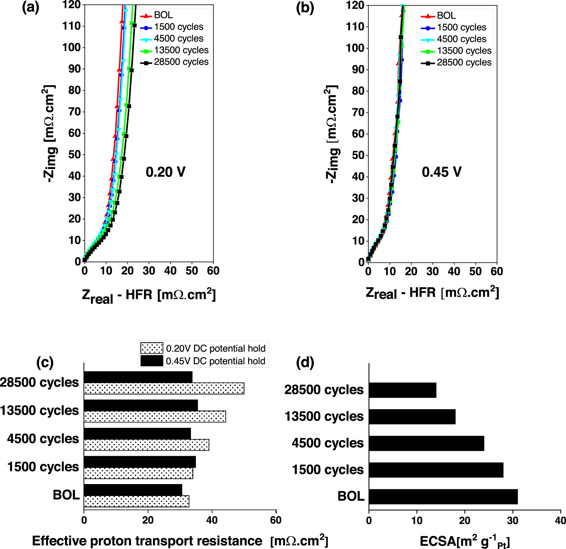 Impact of the Cathode Electrode Platinum Distribution on the Proton ...