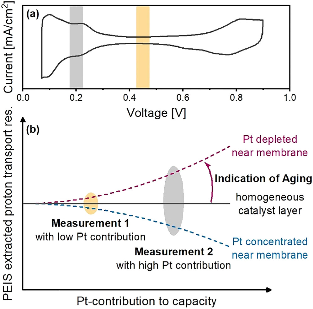 Impact of the Cathode Electrode Platinum Distribution on the Proton ...