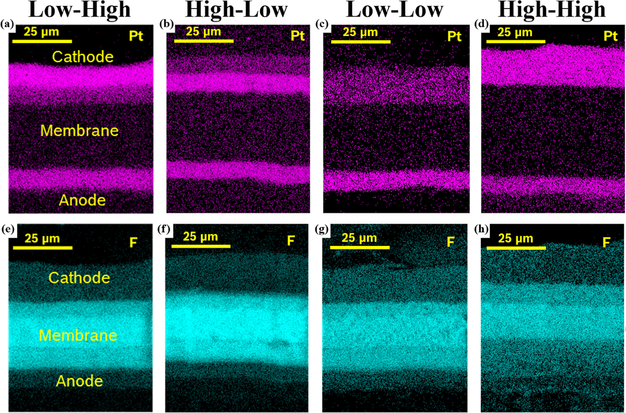 Impact of the Cathode Electrode Platinum Distribution on the Proton ...