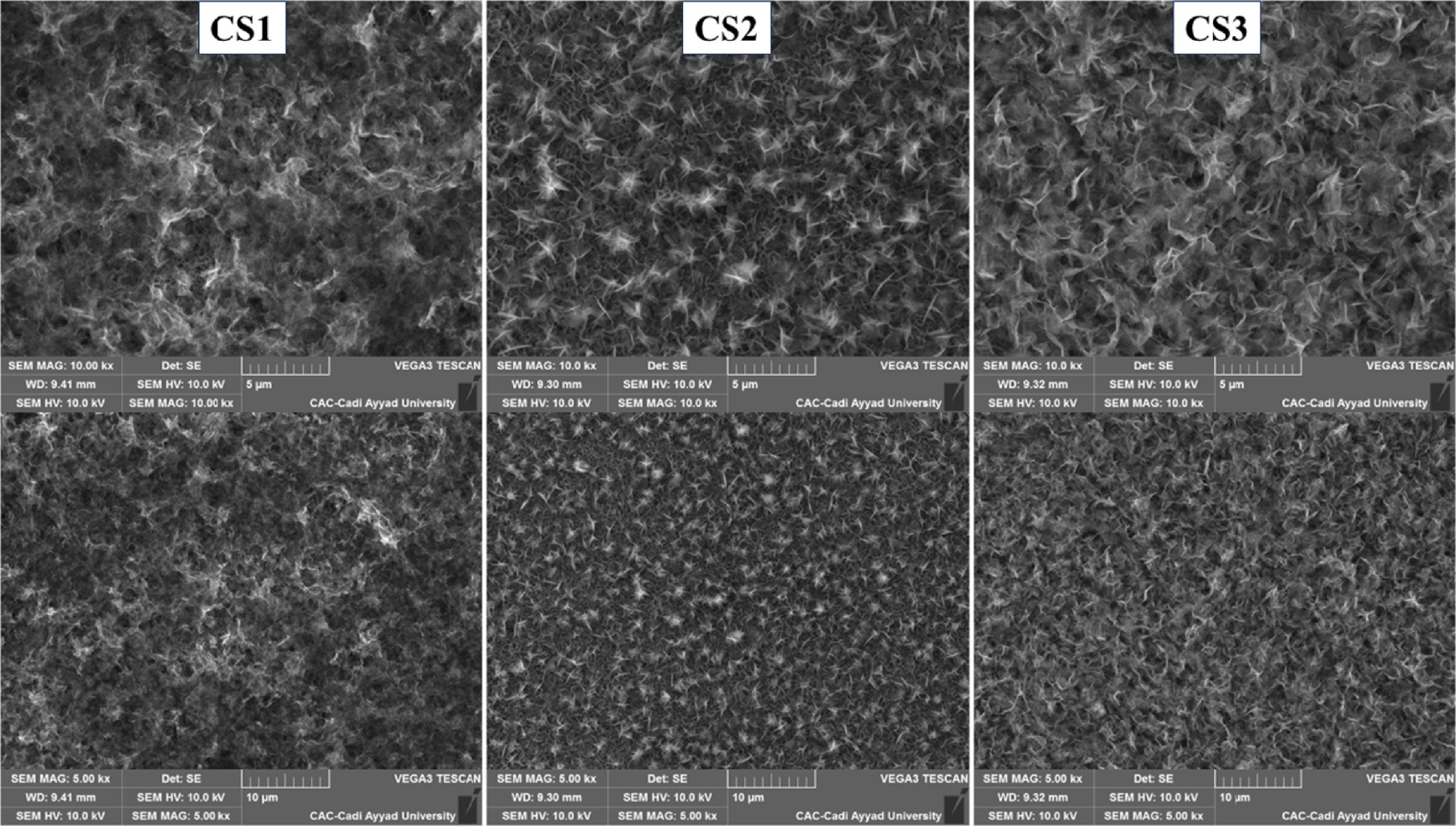 A Comprehensive Structural, Morphological, and Electrochemical Analysis ...