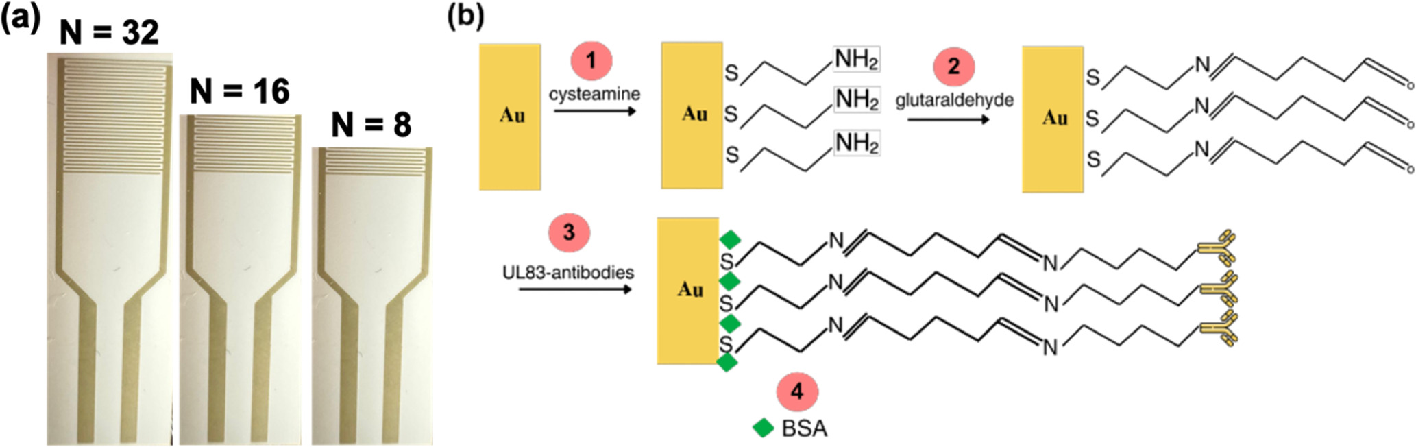 Impact of Interdigital Electrode Count on Non-Faradaic Electrochemical ...