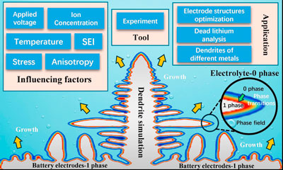 Phase Field Simulation for Dendrite Growth in Energy Storage Batteries ...