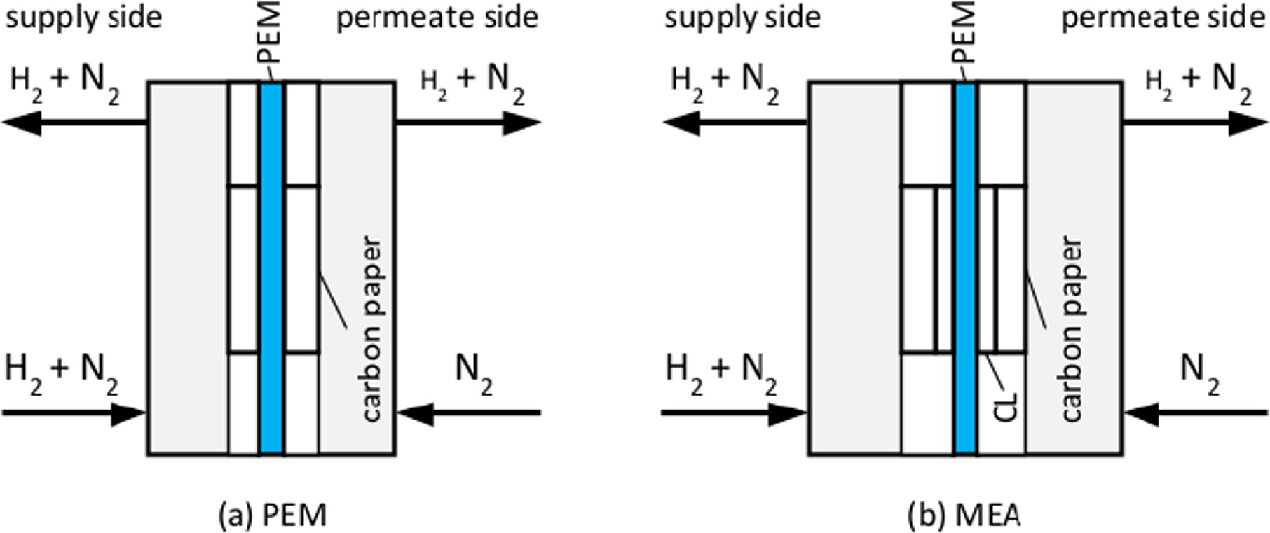 Modeling Hydrogen Crossover Through Membrane with and without Catalyst ...