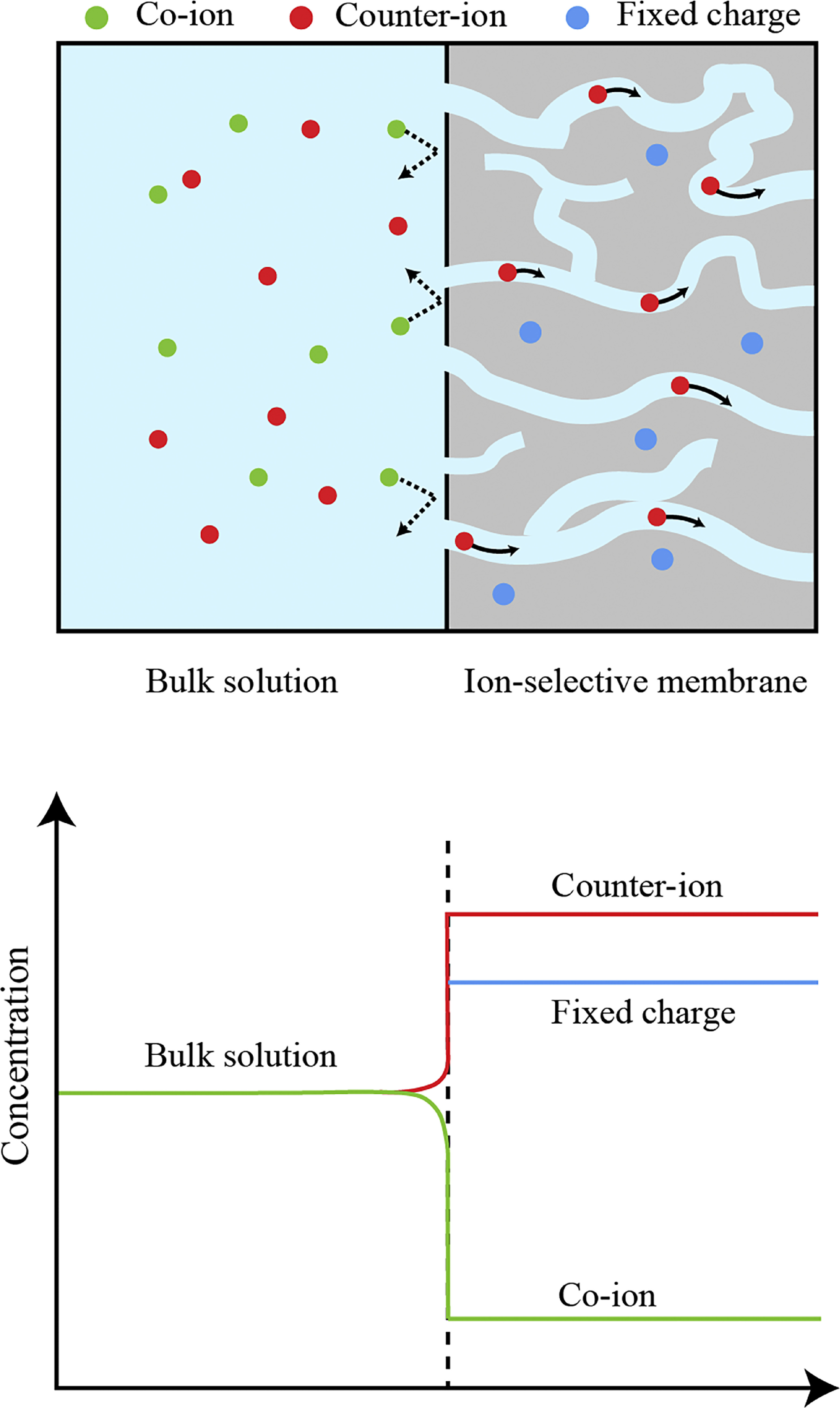 A Model for the Influence of Rust Deposits on the Pitting Corrosion of ...